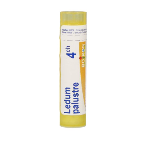 Ledum Palustre 4Ch BOIRON® Gránulos - Farmacia Loreto