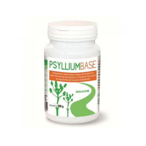 POLVO BASE DE PSILIO 200G